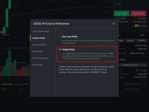 Understanding Hedge Mode In Binance | Hinvest Ai